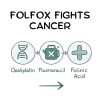 FOLFOX Chemo A Patient's Guide To Treatment